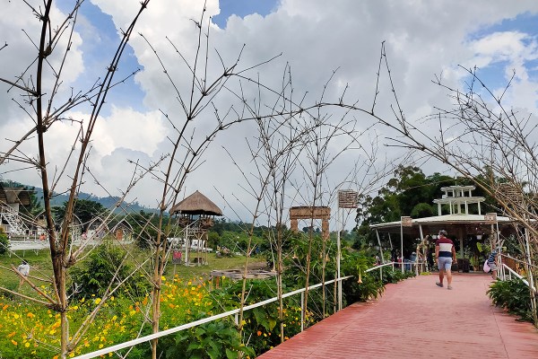 Kape Diaries: Visiting SG Farm in Tupi