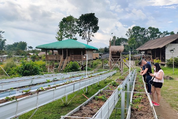 Kape Diaries: Visiting SG Farm in Tupi
