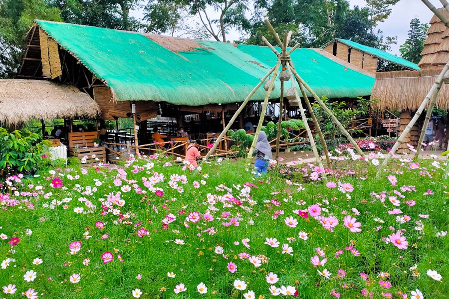 Kape Diaries: Visiting SG Farm in Tupi