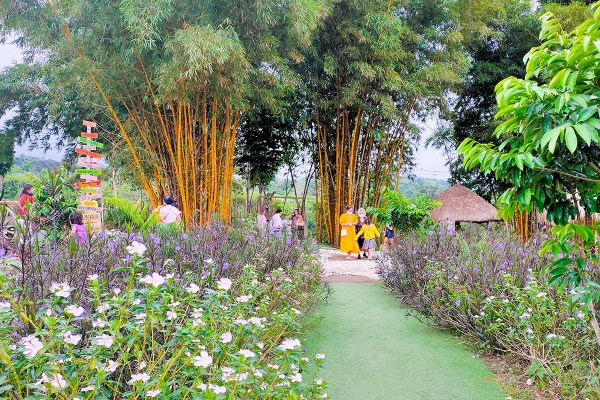 Kape Diaries: Visiting SG Farm in Tupi