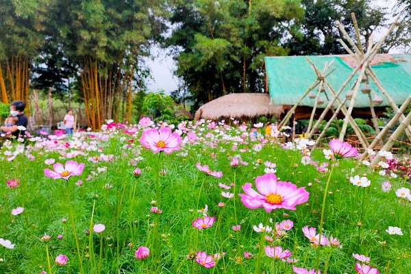 Kape Diaries: Visiting SG Farm in Tupi